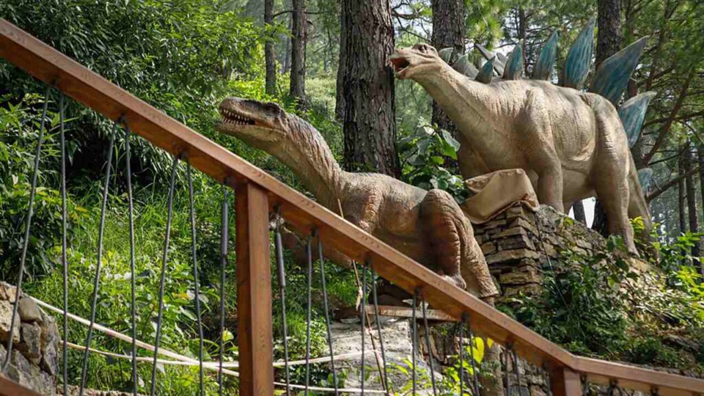 Everything You Need to Know About Dino Valley